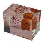 Lucite Embedments: 7 Things You Absolutely Need to Know (Updated ...